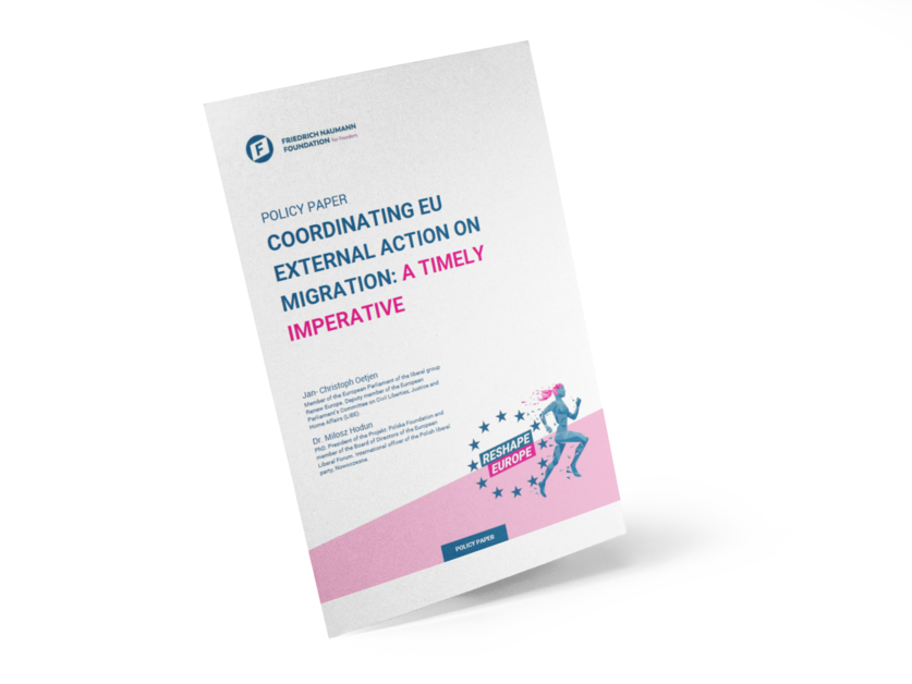 Reshape Europe : Coordinating EU External Action on Migration