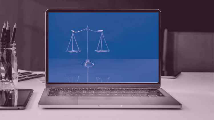 Rule of Law: Balancing efficiency and barriers: Navigating the ...